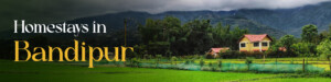 Bandipur Homestay With Flat 15% off - Malnad Stays