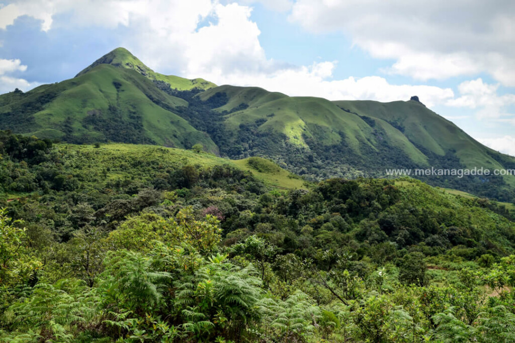 Top 10 Sakleshpur Sightseeing Places to Visit in 2025